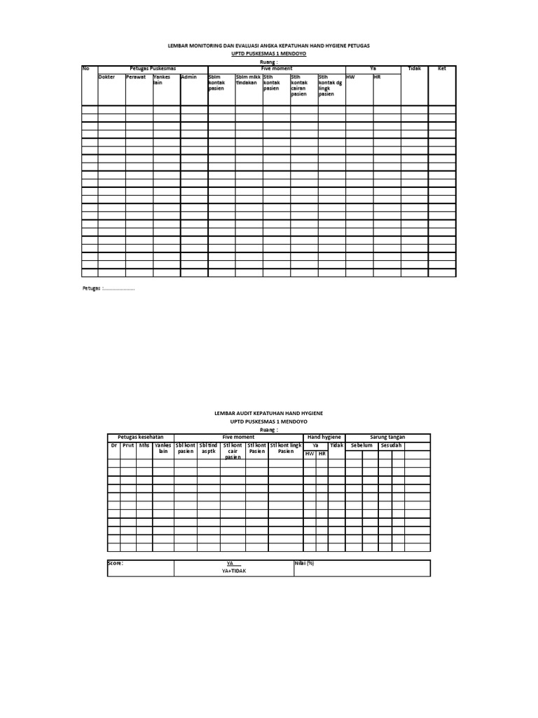 Form Audit Monitoring PPI | PDF