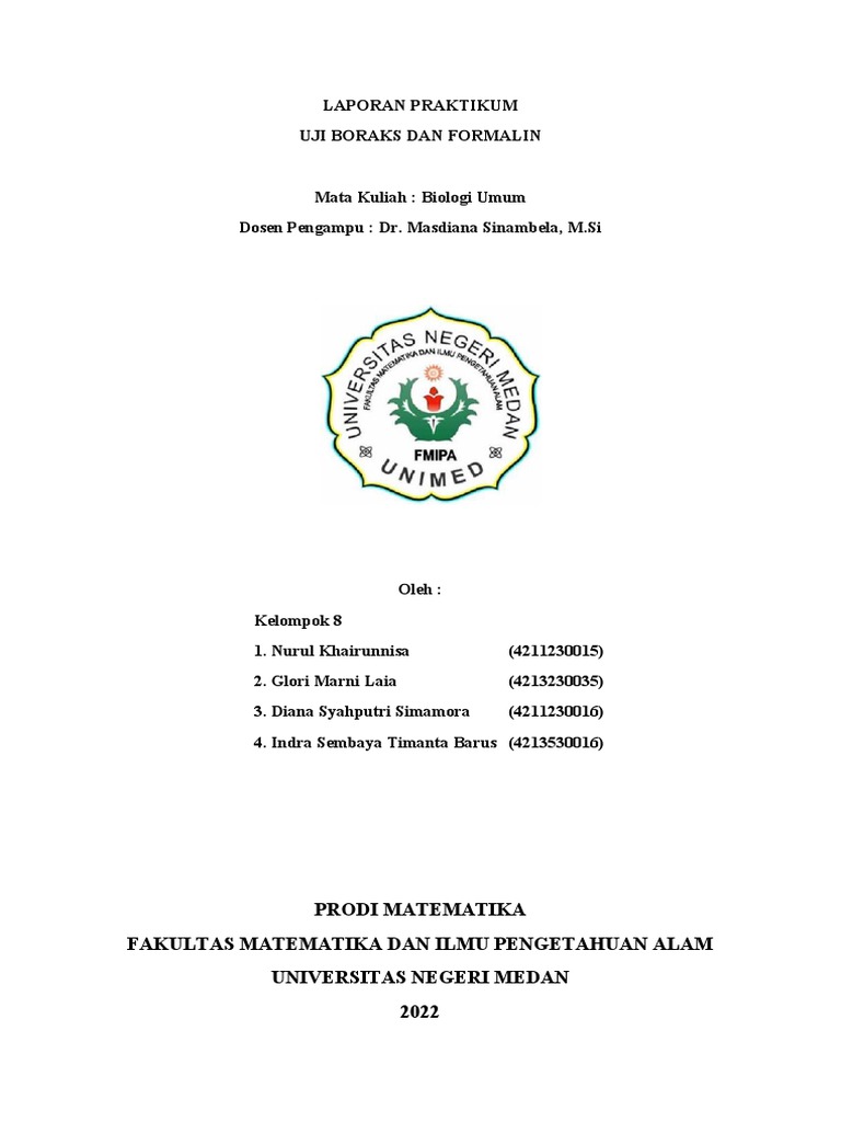 Uji Boraks dan Formalin pada Makanan | PDF | Kesehatan Holistik