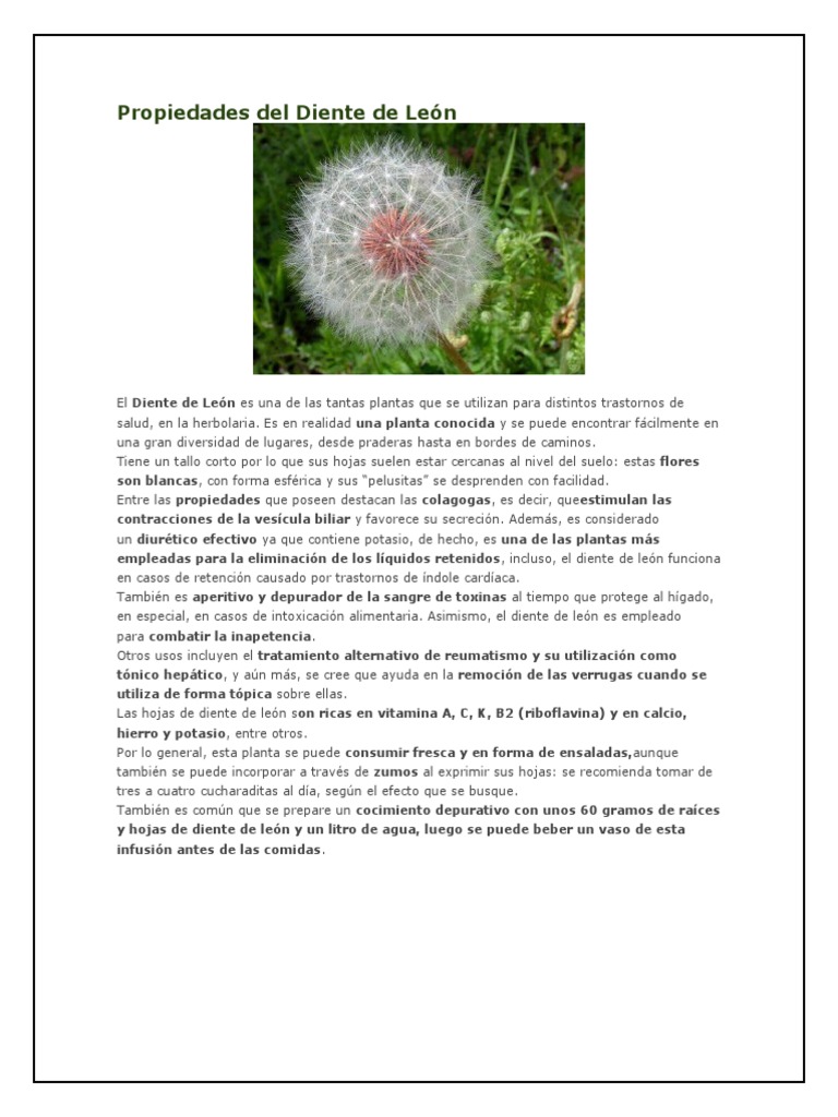 Diente de Leon | PDF