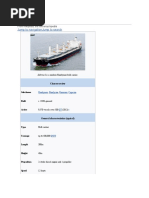 Major Bulk Carrier Size Categories | PDF | Oil Tanker | Cargo Ship