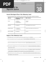 Reproductive System Chapter 16 Key Answer | PDF