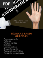 Limite Anatomicos Del Maxilar Inferior RX | PDF | Anatomia animal ...