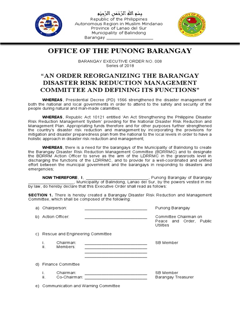 Barangay Disaster Risk Reduction Management Committee (BDRRMC) | PDF ...