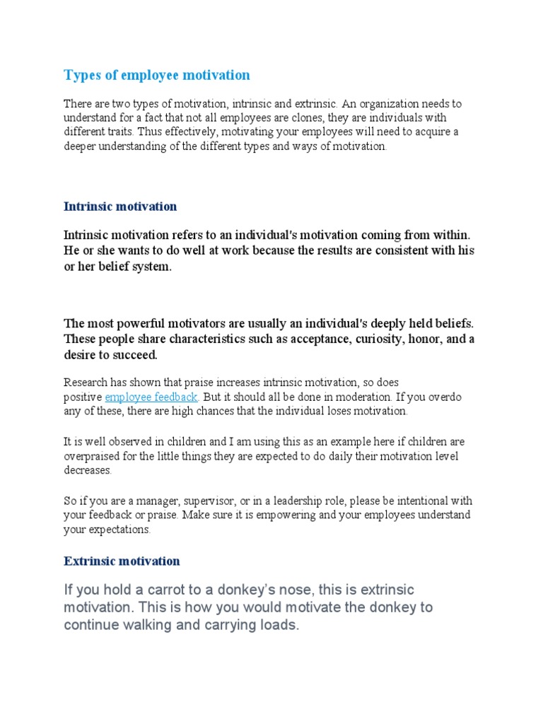 Types of Employee Motivation | PDF