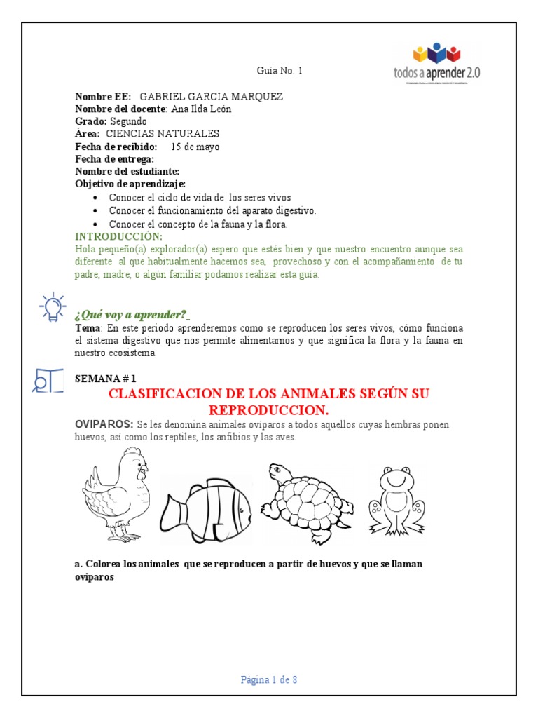 Guia de Aprendizaje Ciencias. Pta | PDF | Fauna | Huevo
