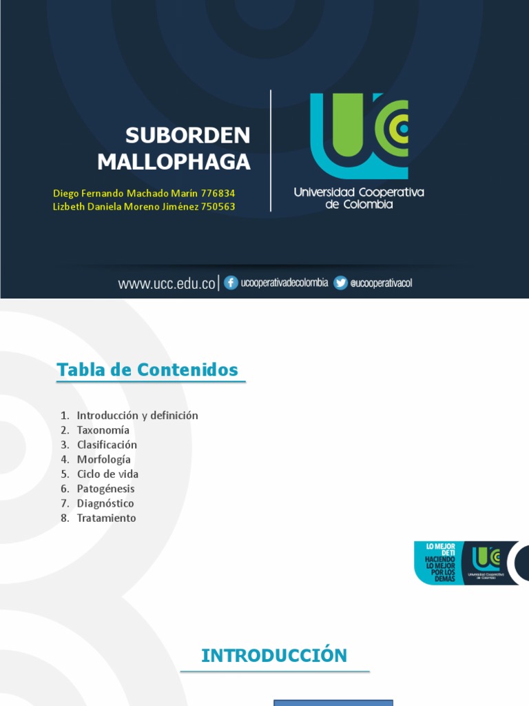 Tipos y características de piojos Mallophaga | PDF | Aves