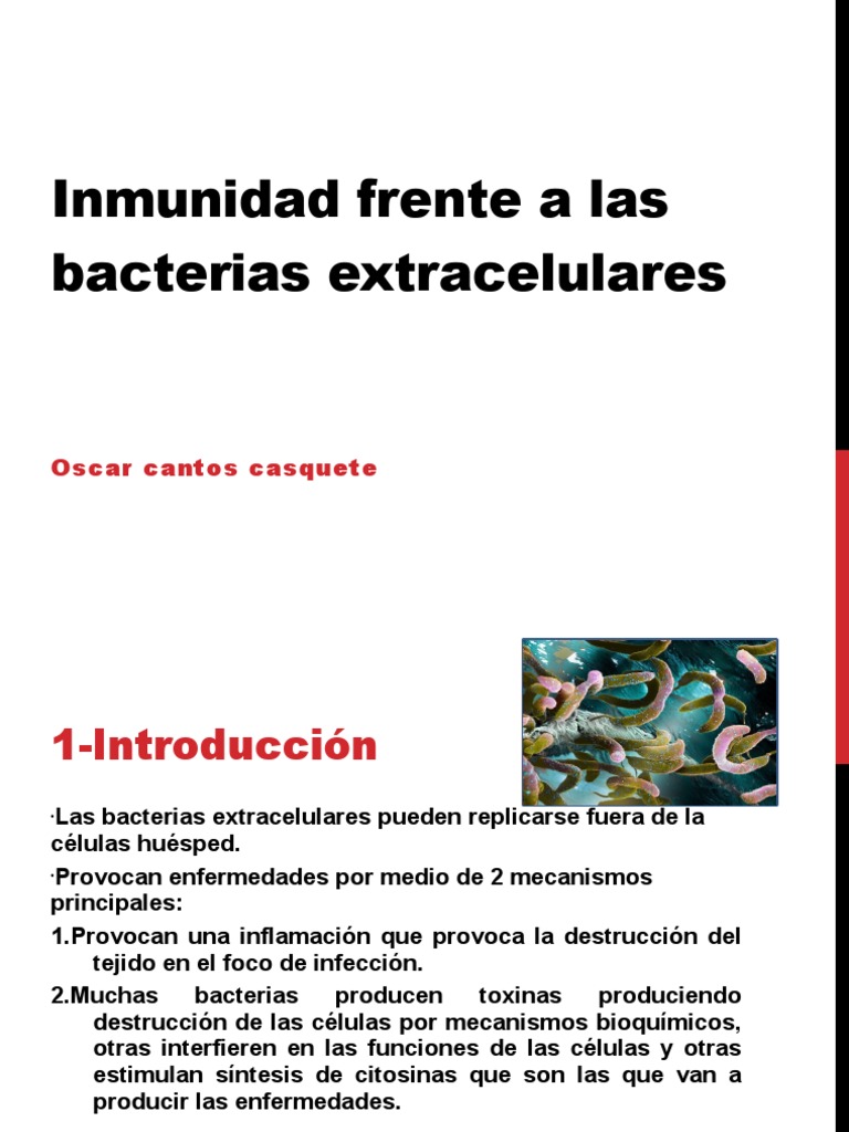 Inmunidad Frente A Las Bacterias Extracelulares | PDF | Citocina | Sistema complementario