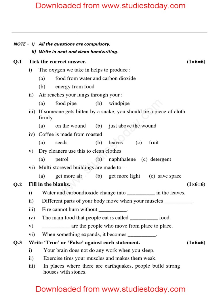 CBSE Class 4 EVS Assignment | PDF