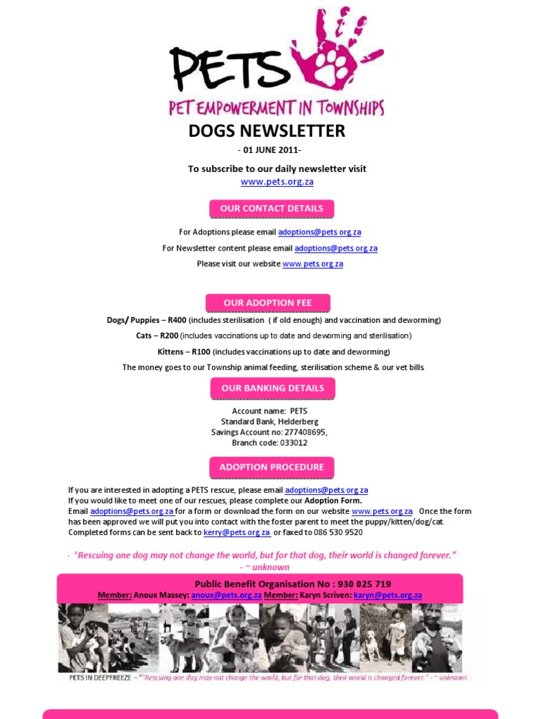 Dogs Newsletter: Our Contact Details | PDF | Poodle | Dogs