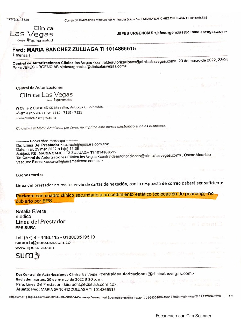 Historia María Paz Sanchez | PDF