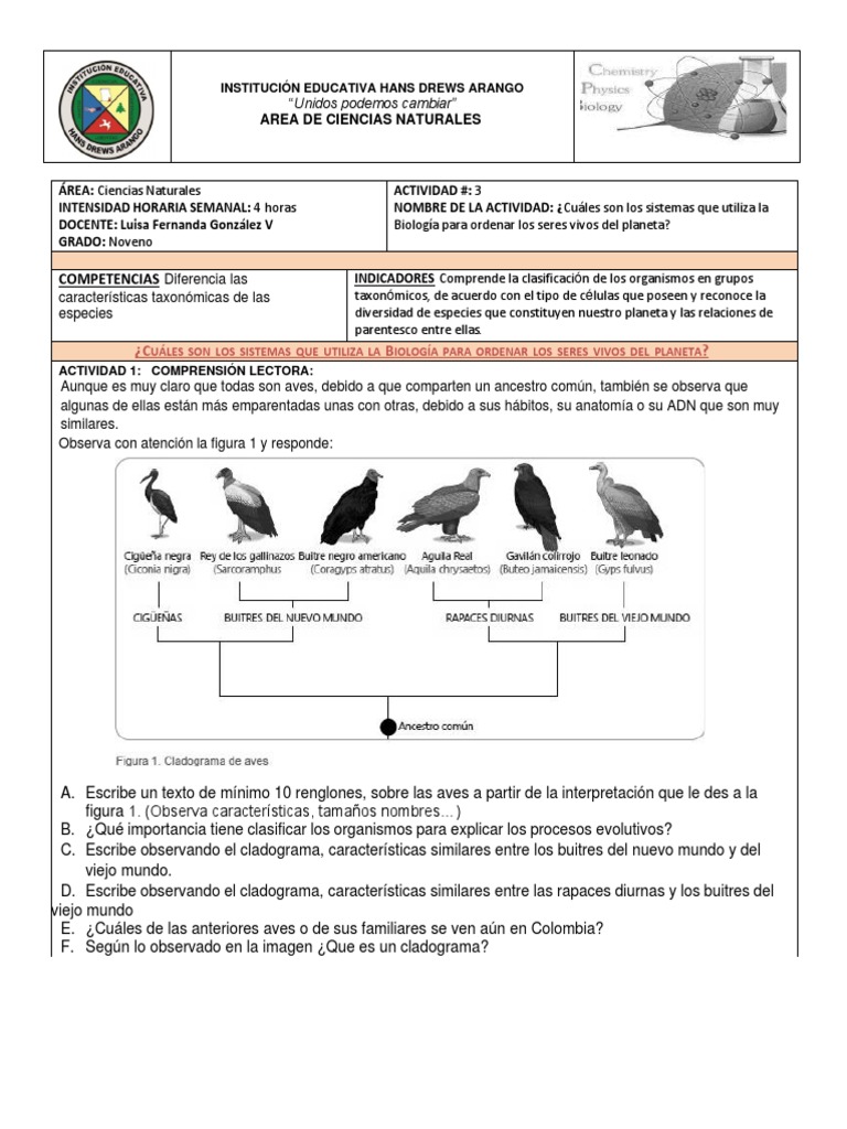 TAXONOMIA Actividad 3 - imprimir | PDF | Especies | Biología