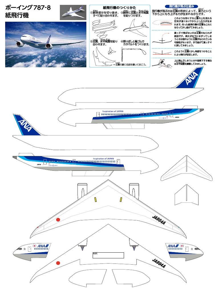 Airplane b787-8 | PDF