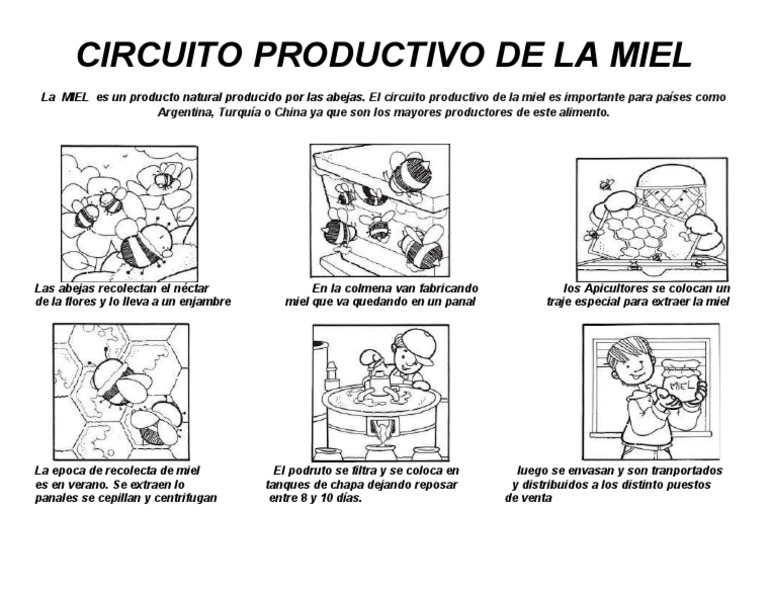 Circuito Productivo De La Miel Para Niños Pdf