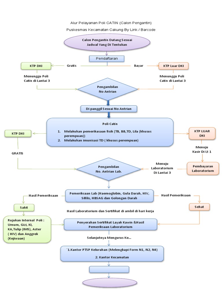 Alur Pelayanan Poli CATIN | PDF