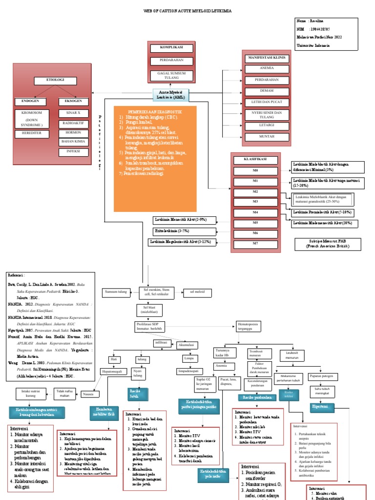 Rosalina WOC AML | PDF