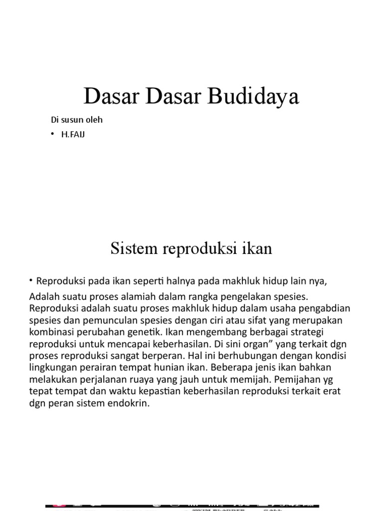 Hamdan | PDF