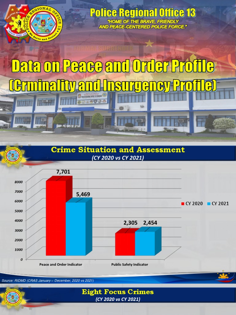 Crime and Safety Report 2021 Analysis | PDF | Carjacking | Crimes
