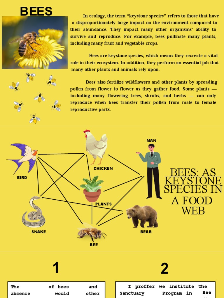 Food Web | PDF | Pollination | Flowers