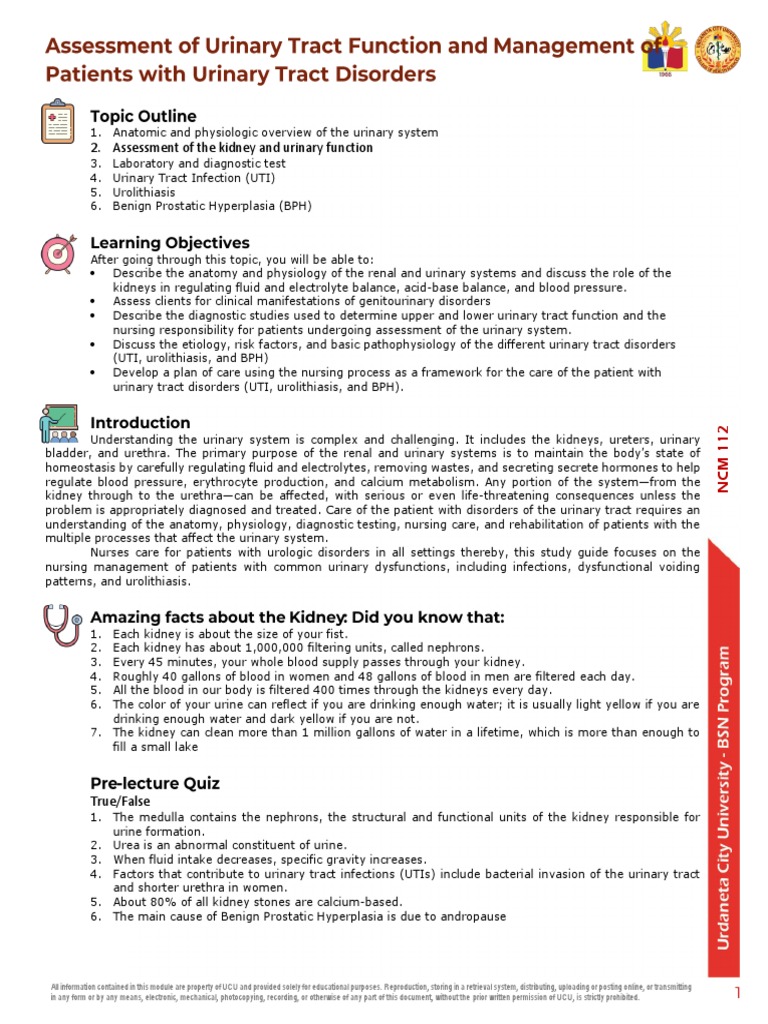 Urinary Tract Disorders: Nursing Guide | PDF | Kidney | Urinary System