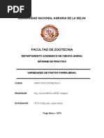 Anatomía y Morfología del Grillo | PDF | Insectos | Artrópodos