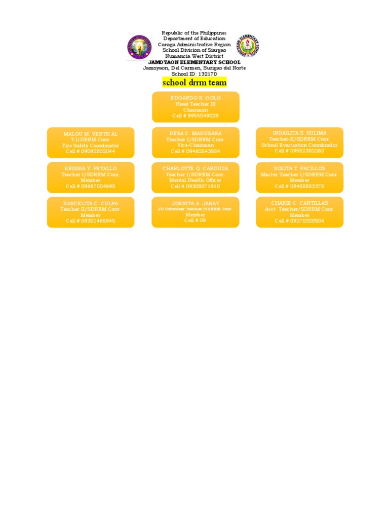 DRRM Team | PDF