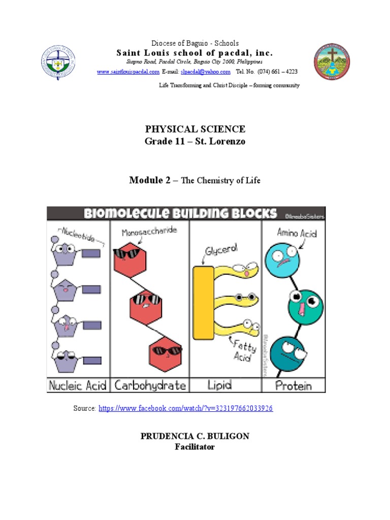 Physical Science Module 2 | PDF | Dna | Carbohydrates