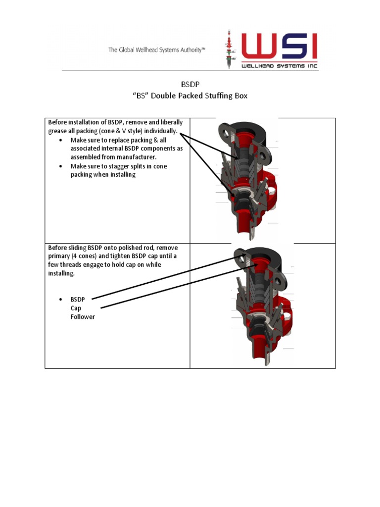 BSDP "BS" Double Packed Stuffing Box | PDF