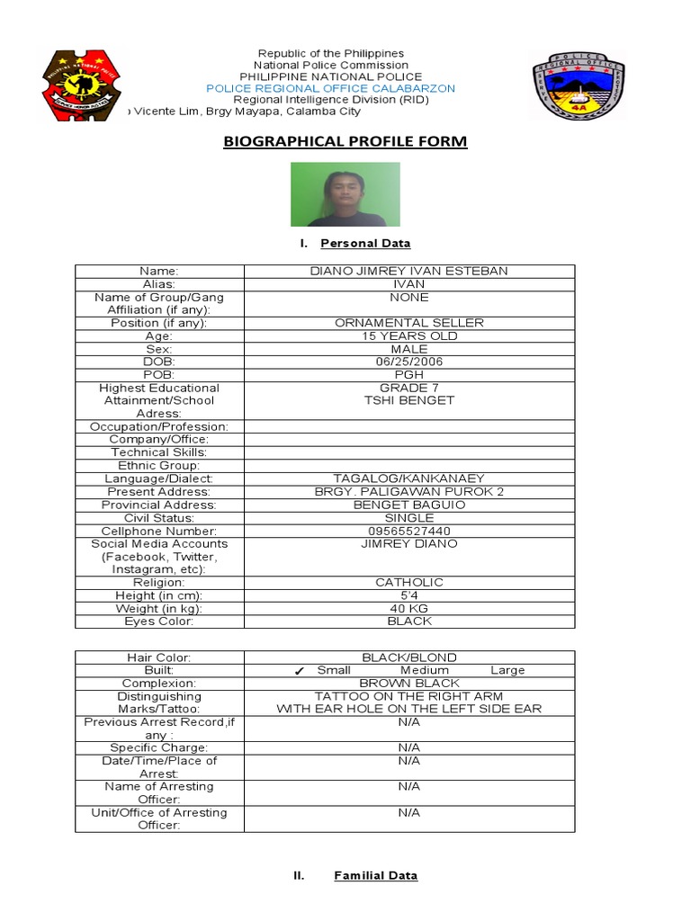 Biographical Profile Form | Download Free PDF | Gang