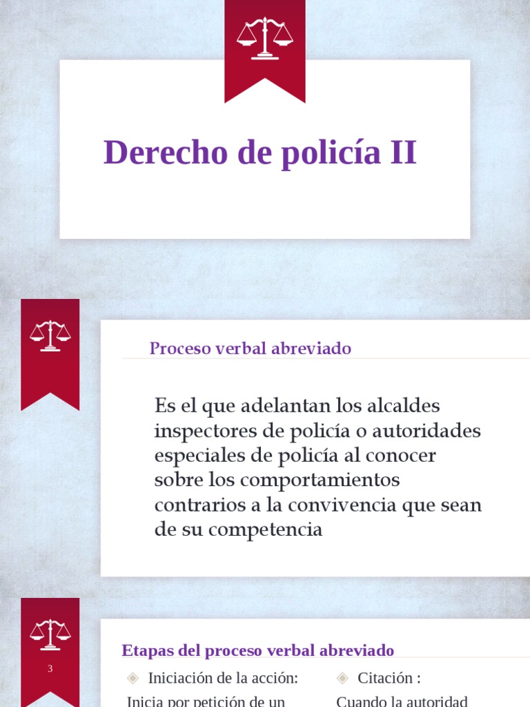 Derecho De Policia 2 Pdf Policía Gobierno