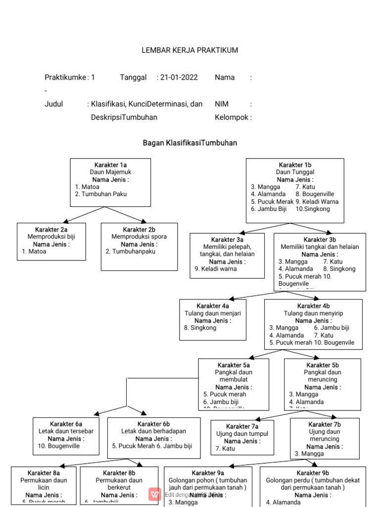 LK Praktikum 1 BTB | PDF