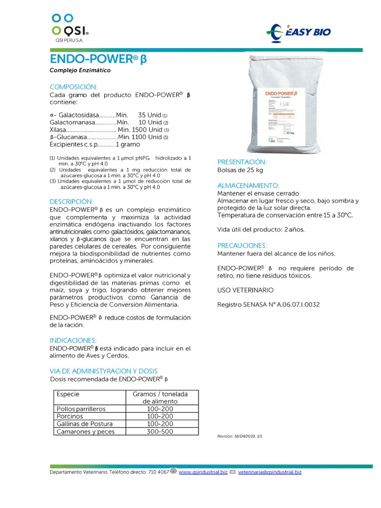 Endo Power | PDF