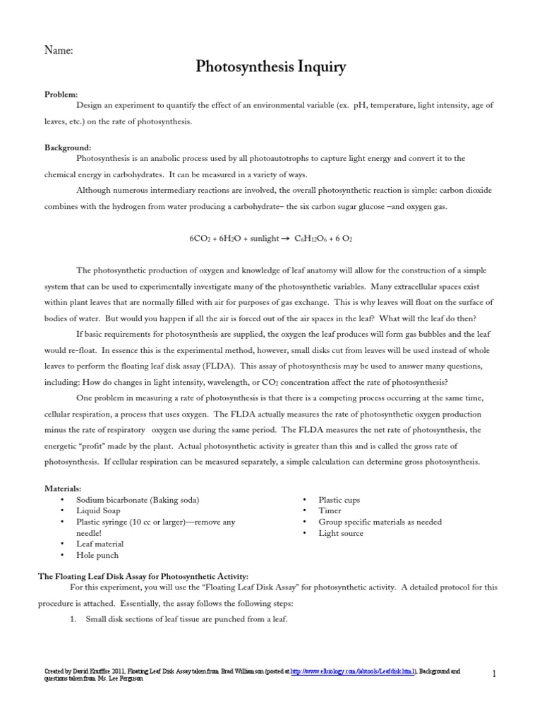 Lab Photosynthesis Inquiry | PDF | Photosynthesis | Biology