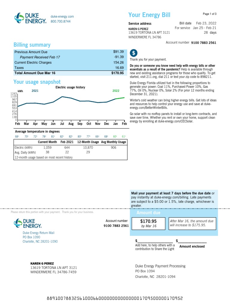 Billing Summary: Your Energy Bill | PDF | Electric Power | Physical ...