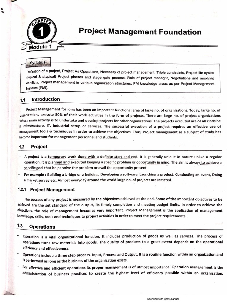 Project Management | PDF