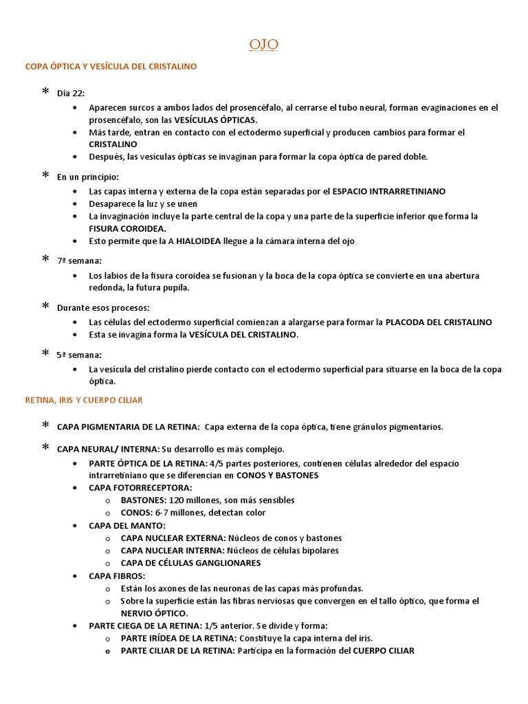 Copa Óptica Y Vesícula Del Cristalino: Retina, Iris Y Cuerpo Ciliar ...