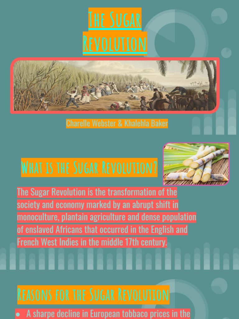 The Sugar Revolution: Charelle Webster & Khalehla Baker | PDF