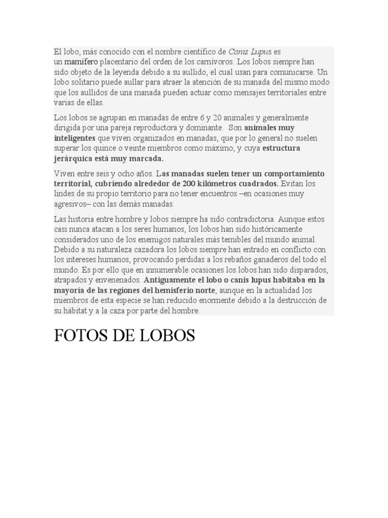El Lobo Pdf