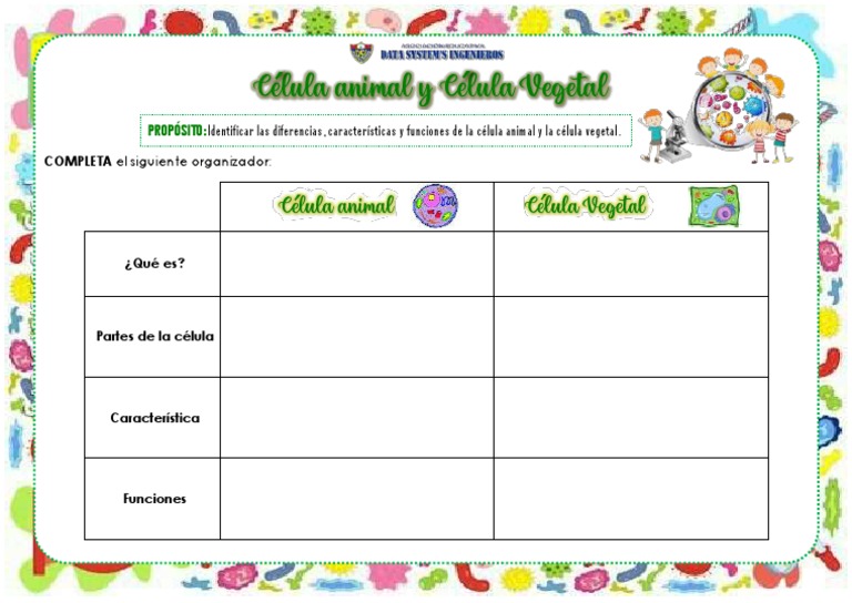 Hoja De Trabajo Sobre Célula Vegetal Y Célula Animal La Célula