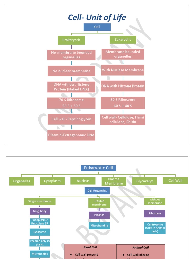 Cell Unit of Life - 011321 | PDF | Cell (Biology) | Cell Nucleus