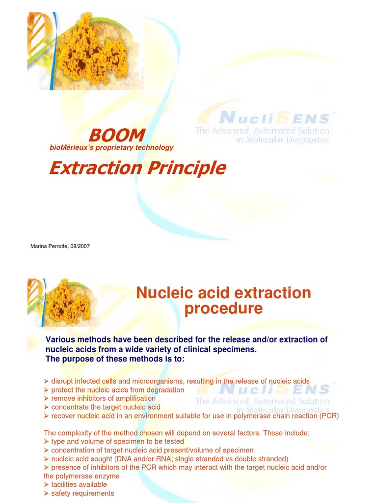 BOOM Extraction Principle | PDF | Lysis | Polymerase Chain Reaction