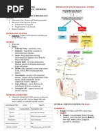 Maternity Case Record Book Guidelines | PDF | Childbirth | Pregnancy