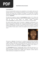 Dryopithecus | PDF | Hominidae | Homo Sapiens