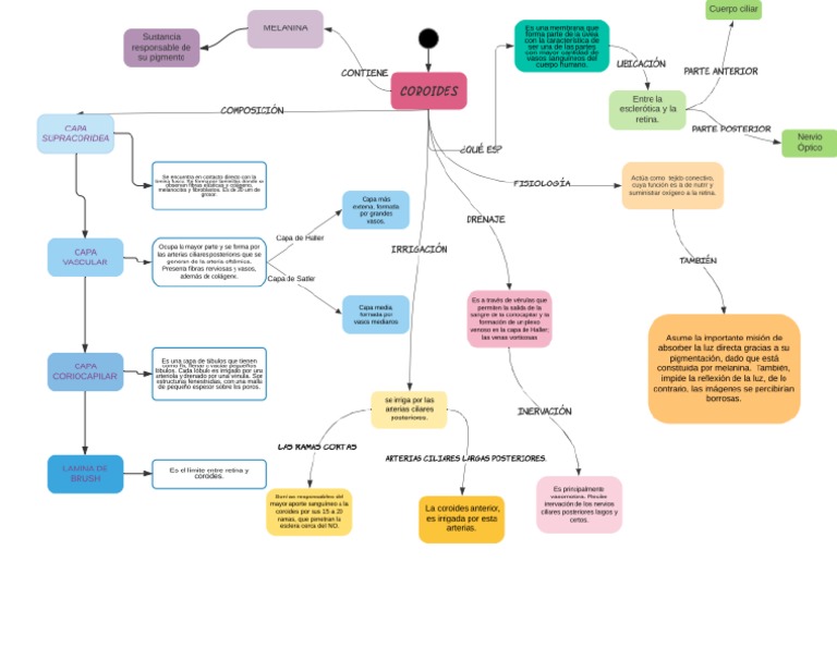 Fisiologia de La Coroides | PDF