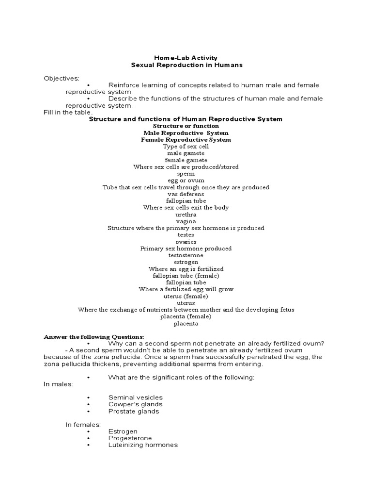 Human Reproduction Study Guide | PDF | Reproductive System | Human ...