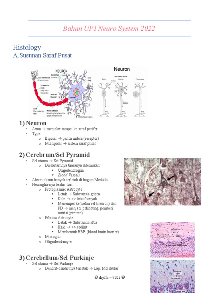 Bahan UPI Neuro System 2022 | PDF