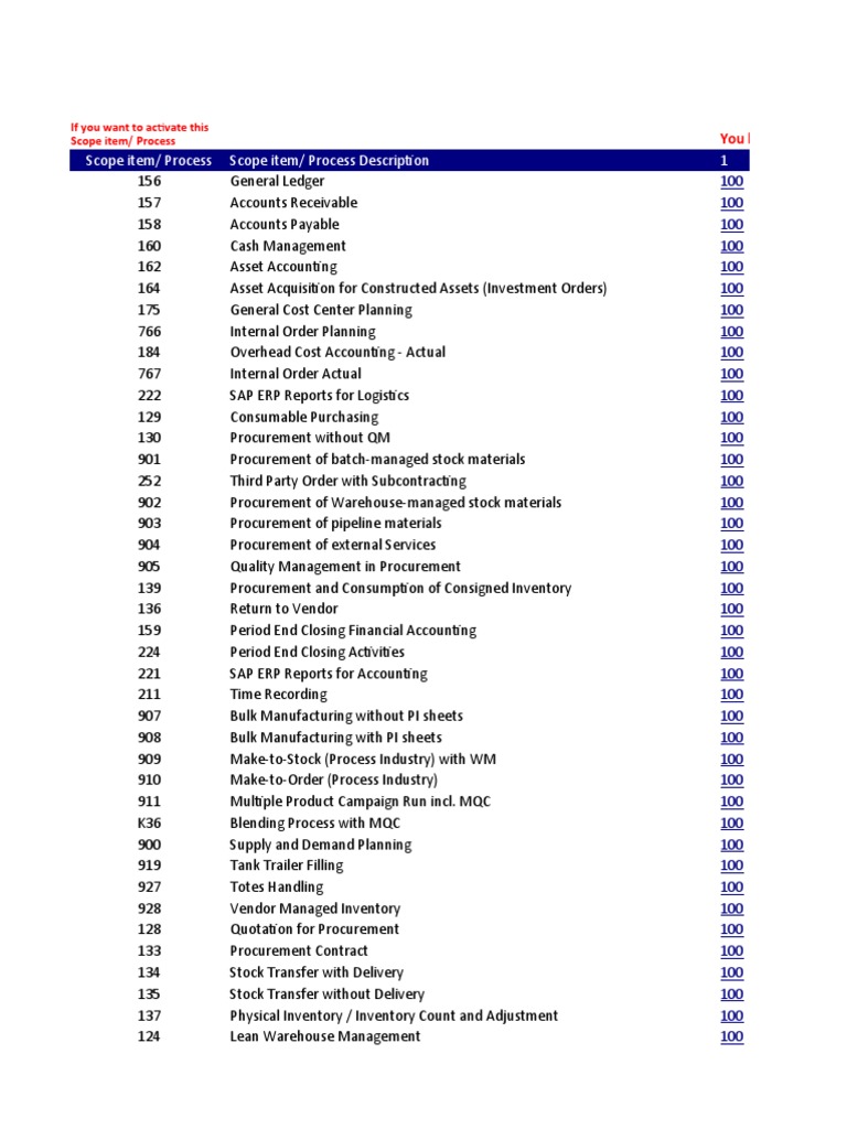 Scope Item/ Process Scope Item/ Process Description 1 | PDF | Inventory ...