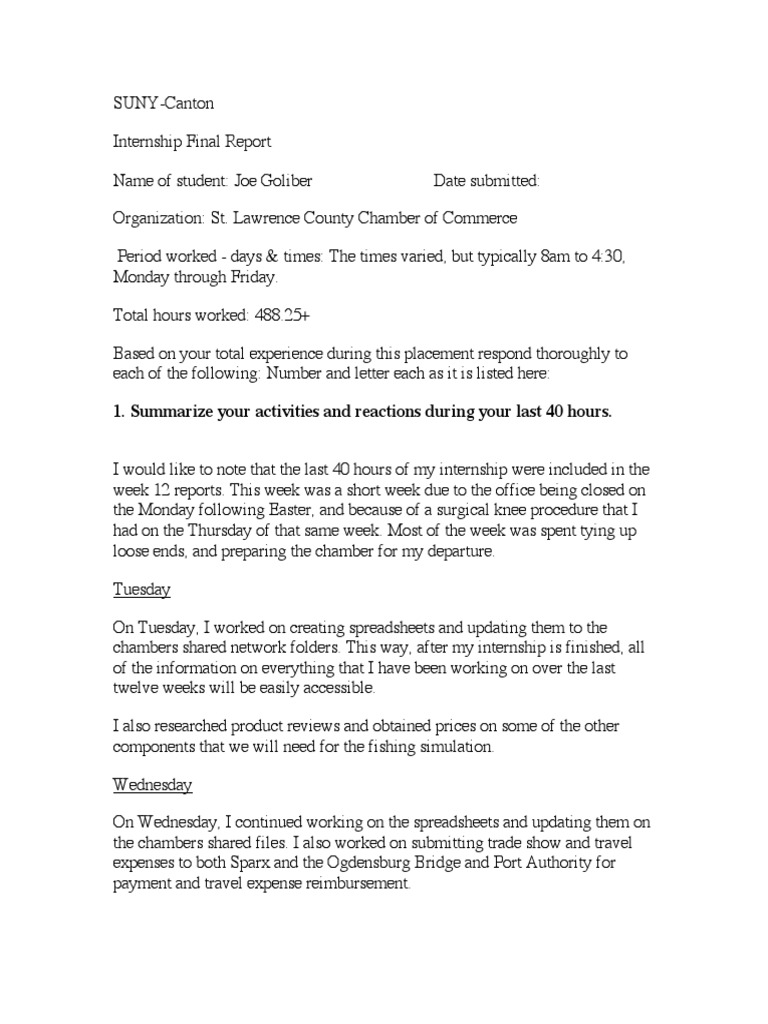 Basic Internship Final Report Example | PDF | Market (Economics ...