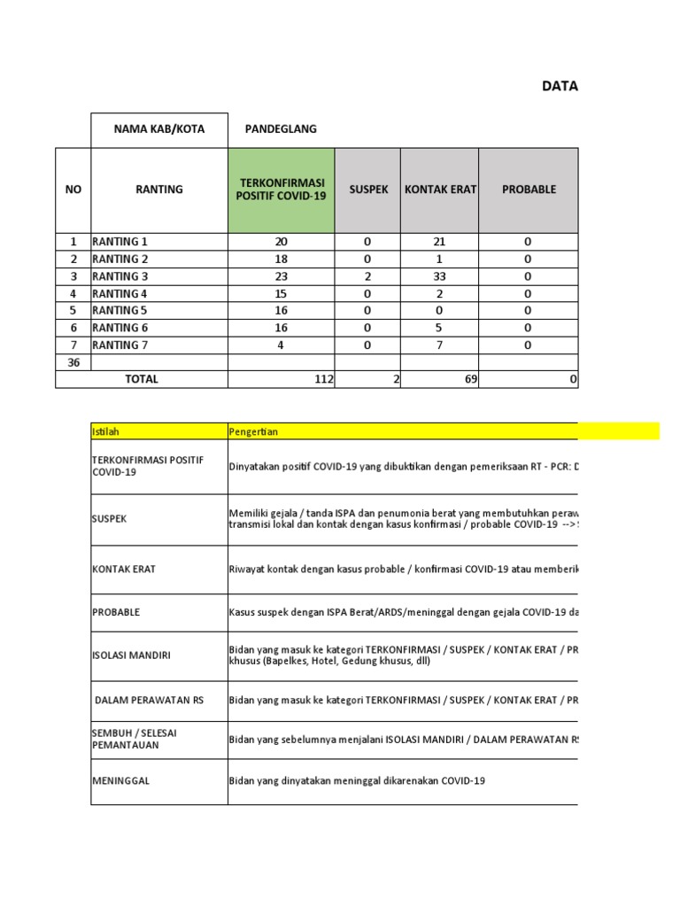 Format Pelaporan Data Bidan Terdampak Covid-19 Versi 3 | PDF