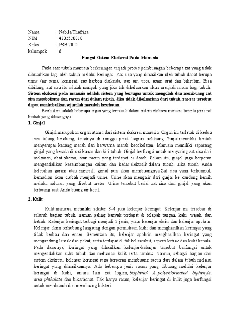 Paper - Fungsi - Sistem Eksresi | PDF