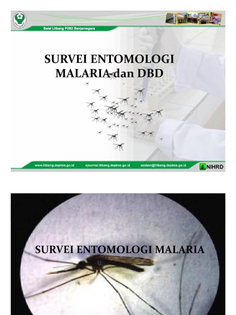 Teknik Survei Entomologi | PDF | Sains & Matematika